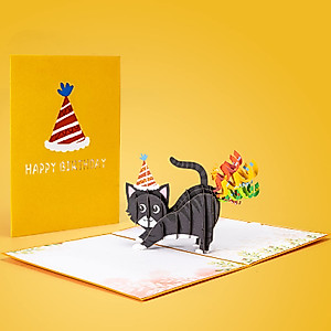 createreedo Cat Birthday Cards, cat pop up Cards pop up birthday cards for cat lovers, women, men,wife,husband,friends,kids etc.