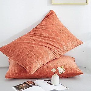 Cupocupa Velvet Duvet Cover Queen Set Grey Comforter Cover 3Pcs Ultra Soft Cover Breathable Luxury Flannel Velour Duvet Cover Zipper Closure Corner Tie Queen Terracotta