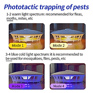Flea Trap for Inside Your Home(2 Packs), Natural Flea Killer w/Warm & Purple LED Light, Flea Fighting Tool Kit for Flea Infestation