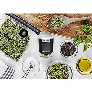 FoodSaver FS2160 Multi-Use Handheld Vacuum Sealer And Marinator, 2146039