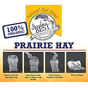 Grandpa's Best Prairie Hay Bale, 5 lbs