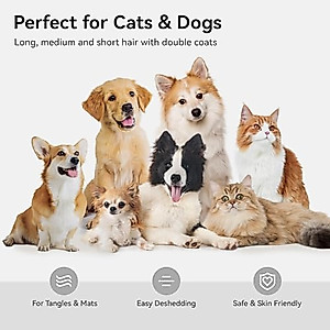 aumuca Cat Brush for Long Haired Cats, Dog Brush for Shedding Grooming Small Medium Dogs, Deshedding Dog Brush Dematting Comb for Dogs Remove Loose and Matted Fur, Pet Grooming Undercoat Rake, White