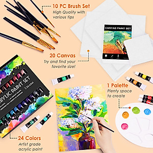 Canvases for Painting, Painting Supplies with 20 Cotton Canvas Panels, 4x4, 5x7, 8x10, 9x12, 11x14 inches (4 of Each), with 24 Acrylic Paints, 10 Brushes, Painting Canvas Set for Multimedia