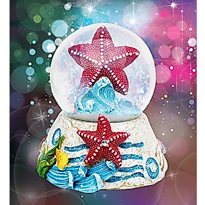 COTA Global Starfish Stone Snow Globe - Sparkly Water Globe Figurine with Sparkling Glitter, Collectible Novelty Ornament for Home Decor, for Birthdays, Christmas, and Valentine's Day