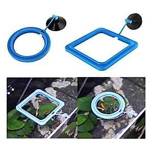 4 Pcs Fish Feeding Ring Square and Round Aquarium Fish Feeding Ring Floating Food Feeder, with Suction Cup