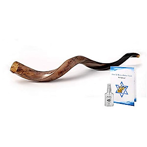 Shofar from Israel Set Full Polished Kudu Horn Yemenite + Bag + Spray + Guide + Carrying Box Case (28"-30")