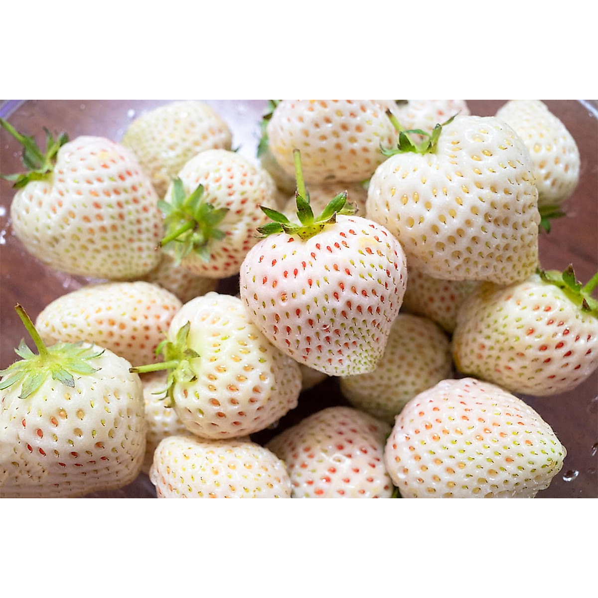 710+ Dwarf Fruit Seeds for Planting (Individually Packaged) Cherries 10pcs White Strawberry 200pcs Red Strawberry 200pcs Raspberry 200pcs Elderberry 100pcs