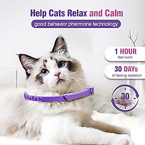 Cat Calming Collar Calming Collar for Cats 3 Pack Calming Cat Collar Relieve Stress and Anxiety Calming Collar Relax Cat Pheromone Collar Suitable for Small Medium and Large Cats Calming Cat Collars