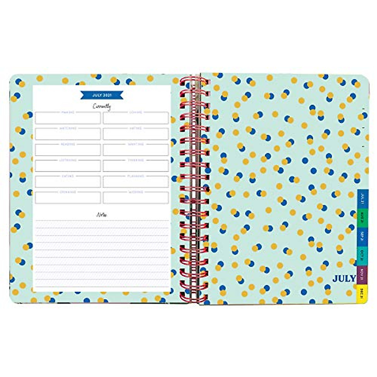 This Is My Song 17-Month Large Planner 2020-2021 (Pipsticks+Workman)