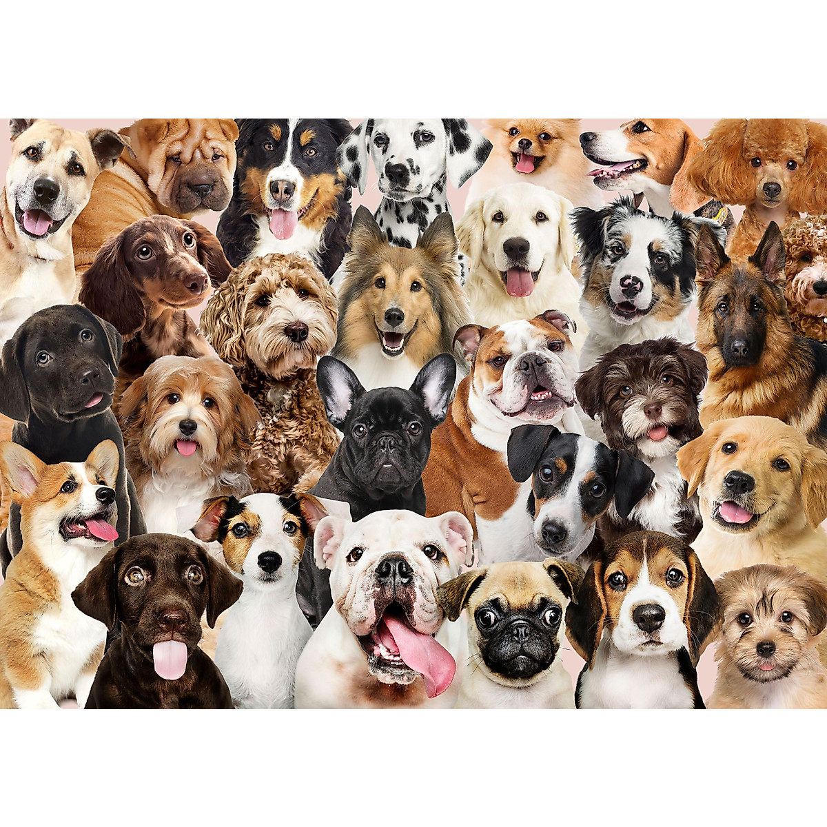 PETER PAUPER PRESS All The Dogs 1000 Piece Jigsaw Puzzle