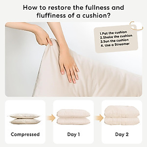 Miscoos Velvet Convertible Futon Sofa Bed, 71" Comfy Loveseat Sleeper Sofa with Adjustable Backrest Armrest, Strengthen Wood, Thick Cushion, Small 2 Seater Futon Couch for Living Room Bedroom