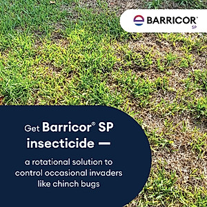 Bayer Barricor SP - 32oz Insecticide