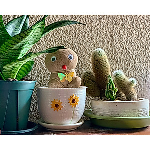 Ton Sin Plant Pots,Set of 3 Ceramic Flower Pots for Indoor Plants,4+5+6 inch Planter with Drainage Hole Saucer,Garden Pots Catus Planters (Sunflower Set of 3)