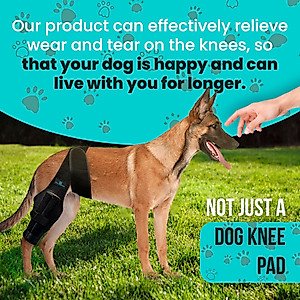 Dog Leg Braces for Back Leg - Dog Knee Brace For Support With Cruciate Ligament Injury, Joint Pain And Muscle Sore,- Dog Knee Brace for Torn ACL Hind Leg Adjustable Rear Leg Braces (Large)