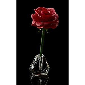 Pentrenz Rose Pen"Valeta" With Diamond Crystal Holder and 2 Ink Refills For Mom, Sister, Friend, Aunt, Grandma, Nurse, Teacher, Great for Home, Dr. Office or Wedding Decor