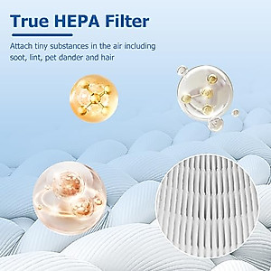 ROMON AP-T10FL Replacement Filter Compatible with Home-Dics AP-T10 AP-T10-WT AP-T10-BK Air Purifier, Part# AP-T10FL, 2 Pack, White