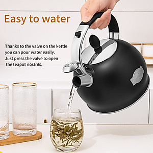 RETTBERG Tea Kettle for Stovetop Whistling Tea Kettles Retro Black Stainless Steel Teapots, 2.64 Quart (Black 1)