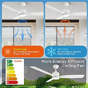 TALOYA 2 Pack 52 inch Ceiling Fans with Lights,Quiet Ceiling Fan with Reversible DC Motor and Remote for Home, White/Oak Finish