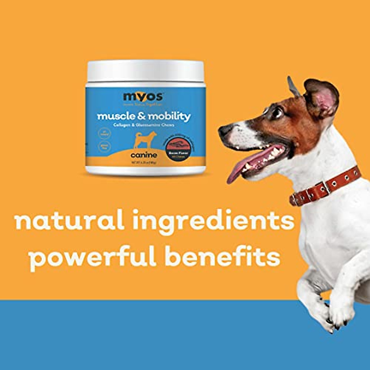MYOS Canine Muscle & Mobility Chews – Natural Collagen & Glucosamine for Dogs - Bacon Flavor Joint Supplement for Muscle, Bone & Joint Support, 60 Count