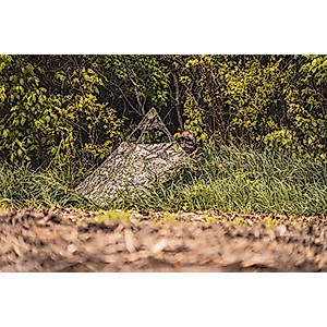 Nukem Grab & Go Hunting Ground Blind - TrueTimber HTC Green - Lightweight Stake-Free Pop Up Turkey & Deer Blind (Standard)
