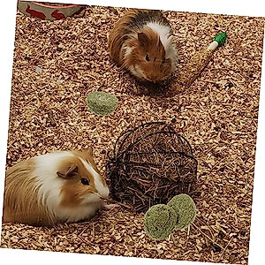 POPETPOP 16 pcs Hamster chew Toy Gerbil Toys Hedgehog Accessories Critter cage Timothy Grass Rabbit chew Small Animal Guinea Pig Toys Bunny Toys Hamster Treat Kitten Snack Fish Tank Alfalfa