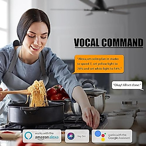 Smart 52” Ceiling Fan with Lights, DC 10 Wind Speeds Quiet Ceiling Fan with Remote, 3 Light Colors Dimmable Outdoor Ceiling Fan Compatible with Alexa, Siri & Google Home, Light Wood & Dark Walnut