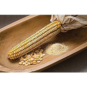 David's Garden Seeds Corn Dent Nothstine FBA-9335 (Yellow) 100 Non-GMO, Heirloom Seeds