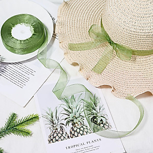 Hiswan 3/4 inch Sage Green Sheer Organza Ribbon 50 Yards Chiffon Ribbon for Gift Wrapping Christmas Halloween Decoration Wedding Flower Bouquet Crafts