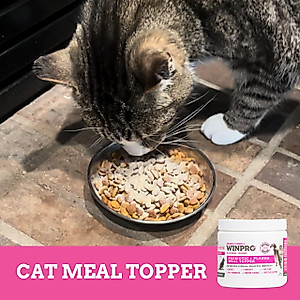 WINPRO- Cat Probiotic Meal Topper, Plasma-Powdered Formula for Gut Health, Seasonal Allergy Relief, Healthy Probiotic Supplement for Cat's, All Cat Breeds, 120 Scoops, Made in USA