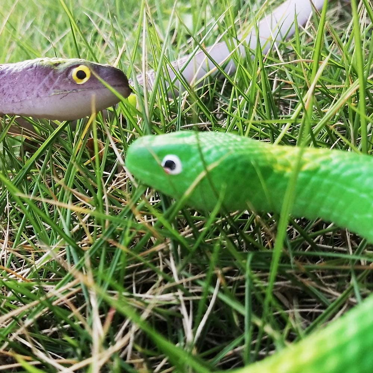 ZZF-LYA 4 Packs Realistic Rubber Snake Set-Plastic Forest Snakes Realistic Rubber Snake Assorted Colorful Fake Snake Figure Keep Birds, Squirrels, Rats Away
