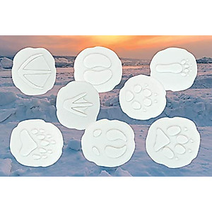 Yellow Door Let's Investigate Polar Footprints, Set of 8