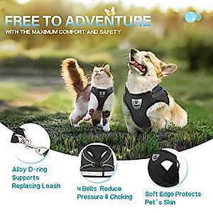 Supet Cat Harness and Leash Set for Walking and Small Dog Soft Mesh Harness Adjustable Vest with Reflective Strap Comfort Fit for Pet Kitten Puppy Rabbit