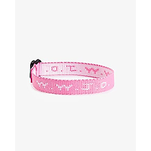 Elevated Faith WWJD Bracelet Pack