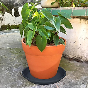 SAUCERHOME 5 Packs Plant Saucer 6 8 10 12 14 16 19 22 26 Inch Plastic Pot Tray Flower Planter Saucers and Drip Trays for Indoors Outdoors, Thick Heavy Sturdy Plant Plate Water Catcher (6 Inch Black)