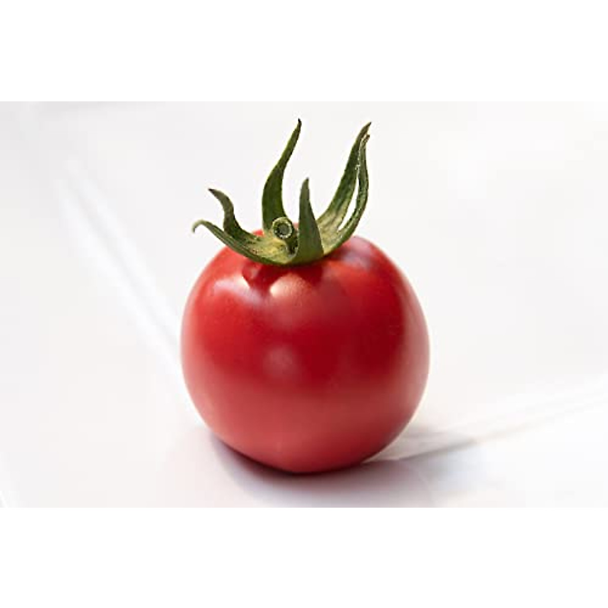 "Early Girl" Tomato Seeds for Planting, 25+ Seeds Per Packet, (Isla's Garden Seeds), Non GMO Seeds, Botanical Name: Solanum lycopersicum, 90% Germination Rate, Great Home Garden Gift