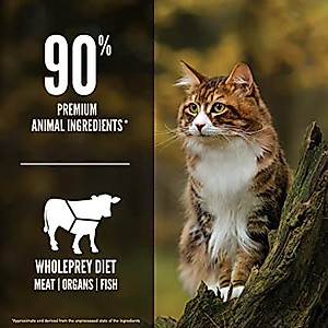 Orijen 2 Pack of Regional Red Biologically Appropriate Cat Food, 4 Pounds Each, Grain-Free, Made in The USA