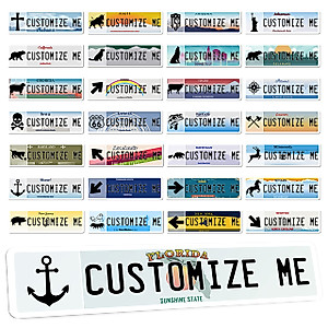 Custom Street Signs with Text & Icon - 30 Icons, 50 States - Personalized Florida Metal Street Sign, 2 Sizes, 13X4" or 18X4" - UV Protected Aluminum Signs with Florida Themed Background