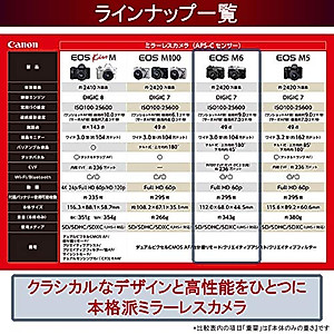 Canon mirrorless Single-Lens Camera EOS M6 Body (Black)- International Version (No Warranty)