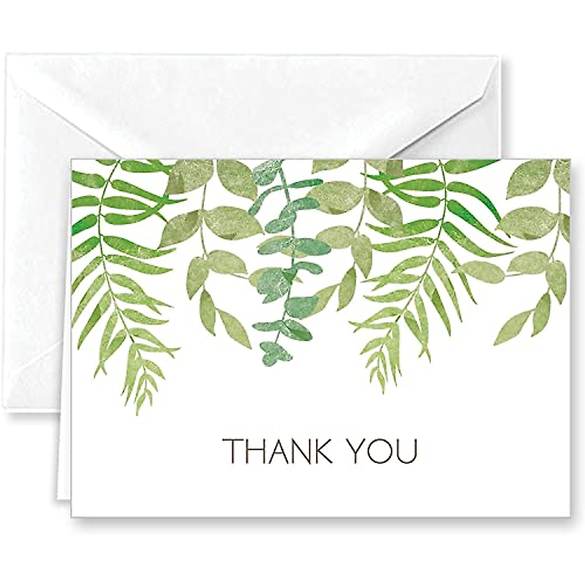 Paper Frenzy Elegant Ferns Thank You Note Cards and Envelopes - 25 pack