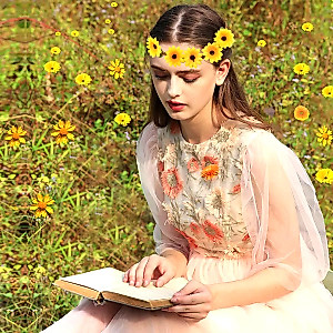 RONYOUNG 12PCS Sunflower Headband Crown Headpiece Daisy Headbands for Women Girl Hair Wreath Garland Hippie Clothes Boho Hat Accessories Bridal Wedding Parties Festivals Performances Photo Props