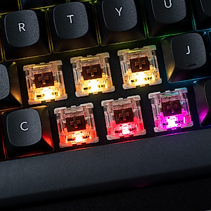 Keychron Q2 Wired Custom Mechanical Keyboard Knob Version, 65% Layout QMK/VIA Programmable Macro with Hot-swappable Gateron G Pro Blue Switch Double Gasket Compatible with Mac Windows Linux (Black)
