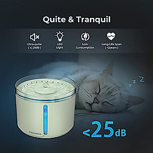 Cat Fountain Water Bowl, Water Fountain for Cats Inside, Dog Water Bowl Dispenser, 74oz/2.2L Easy to Clean and Assemble Automatic Pet Water Dispenser for Cats Dog Small Puppy with Filters, Green