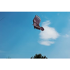 Defenders Hawk Kite (Humane Effective Bird Scarer for Buildings, Gardens, Crops)