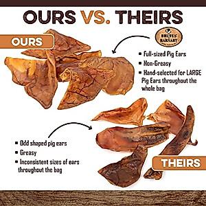 100% Natural Whole Pig Ear Dog Treat - 12 Pack - Our Healthy Dog Pig Ears Are Easy To Digest, Chemical & Hormone Free Thick Cut Pig Ears For Dogs Aggressive Chewers, Great For Small Or Large Dogs