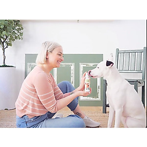 Complete Oral Care from The Founders of PetzLife - 4 oz (Peppermint Gel)