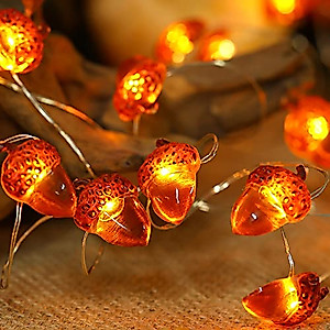 Mudder Acorn Valentine's Day Heart String Lights Decor 16.4FT 50 LEDs Heart Fairy Light Battery and USB Powered with Remote for Indoor Outdoor Wedding Party(Acorn,White)
