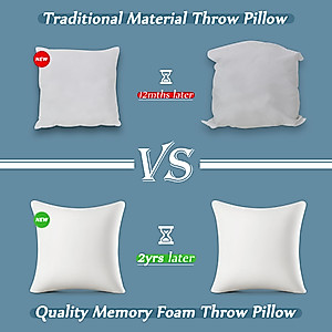 AM AEROMAX 20 ×20 Pillow Insert Memory Foam Throw Pillow Insert Sham Square for Decorative Cushion Bed Couch Sofa without Deform After Longtime Use