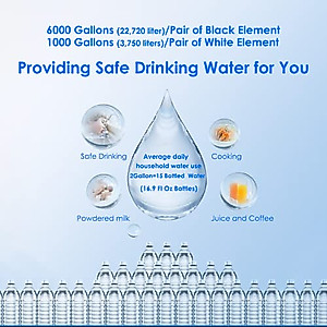 Water Filter Replacement for Berkey Water Filter, 2 Activated Carbon Filters and 2 Fluoride Filters Compatible with Purifiers Berkey Gravity Water Filter System, Pack of 4