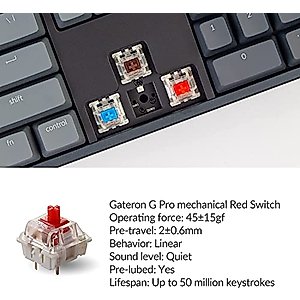Keychron K10 RGB Full Size Layout Hot-Swappable Mechanical Keyboard for Mac Windows, Multitasking 104-Key Bluetooth Wireless/USB Wired Gaming Keyboard with Gateron G Pro Red Switch Aluminum Frame