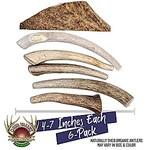 Deer Valley Dog Chews (Small 5-7 Inches, 6 Pack) Premium Deer Antler for Small Dogs - Long Lasting Dog Bone for Teething and Chewing - Organic, Odorless, Naturally Shed, USA